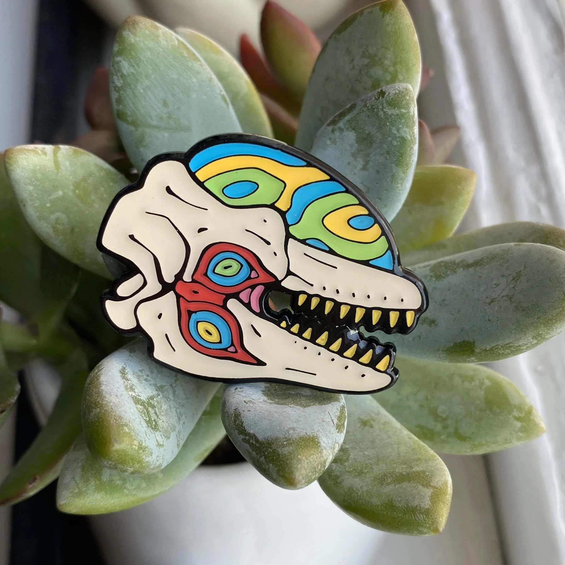 Lasiognathus saccostoma Pin — Hannah Comstock