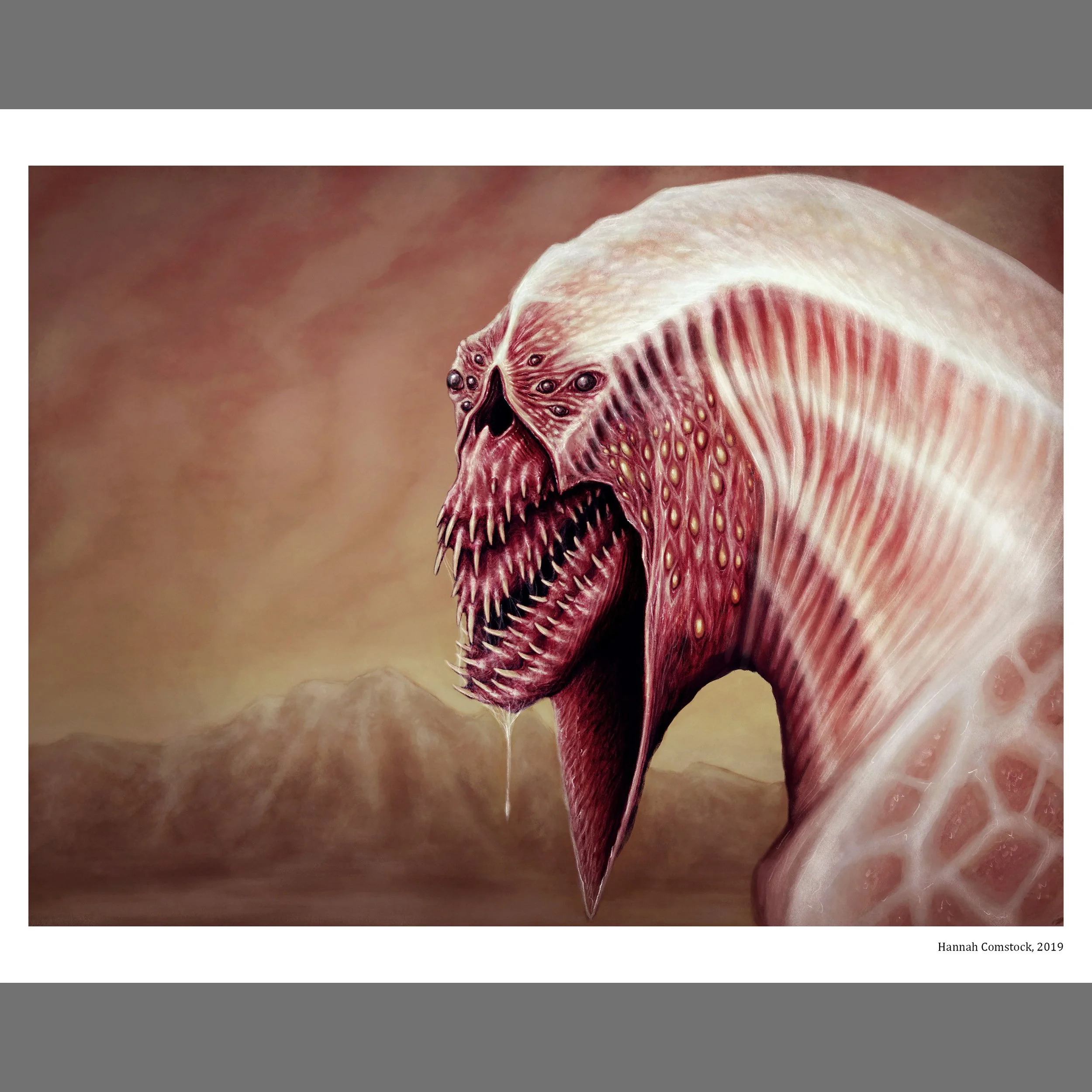 Store — Hannah Comstock