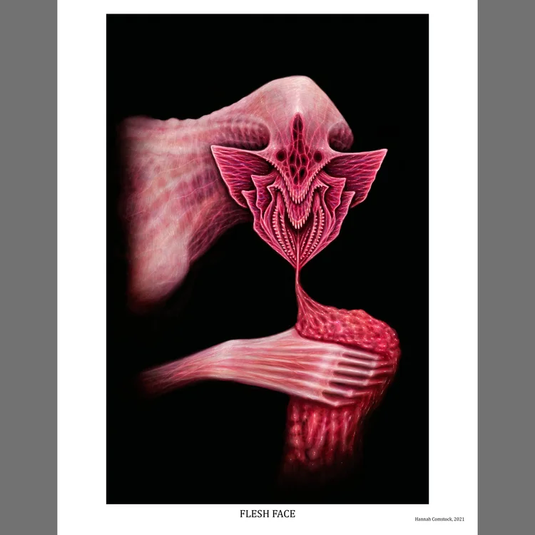 Store — Hannah Comstock