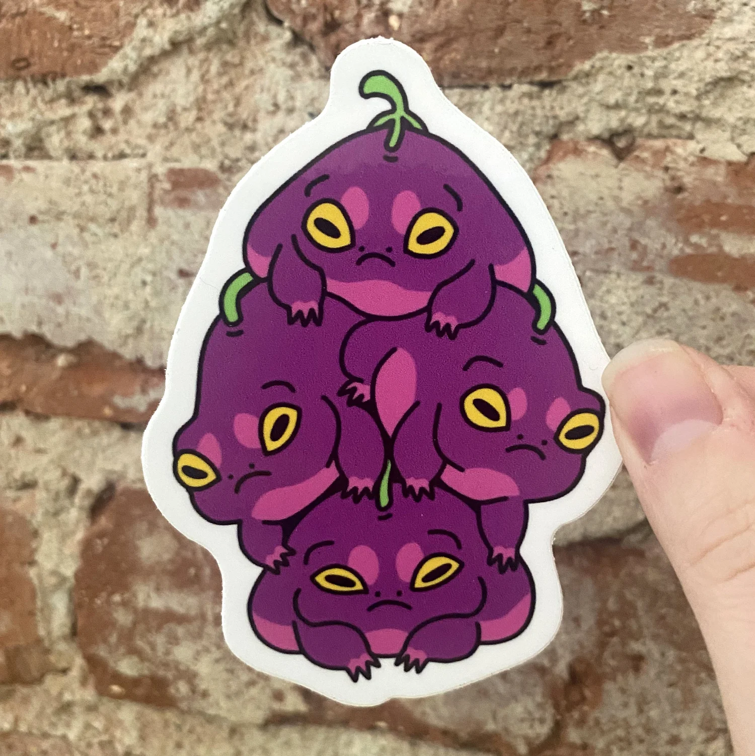 Store — Hannah Comstock