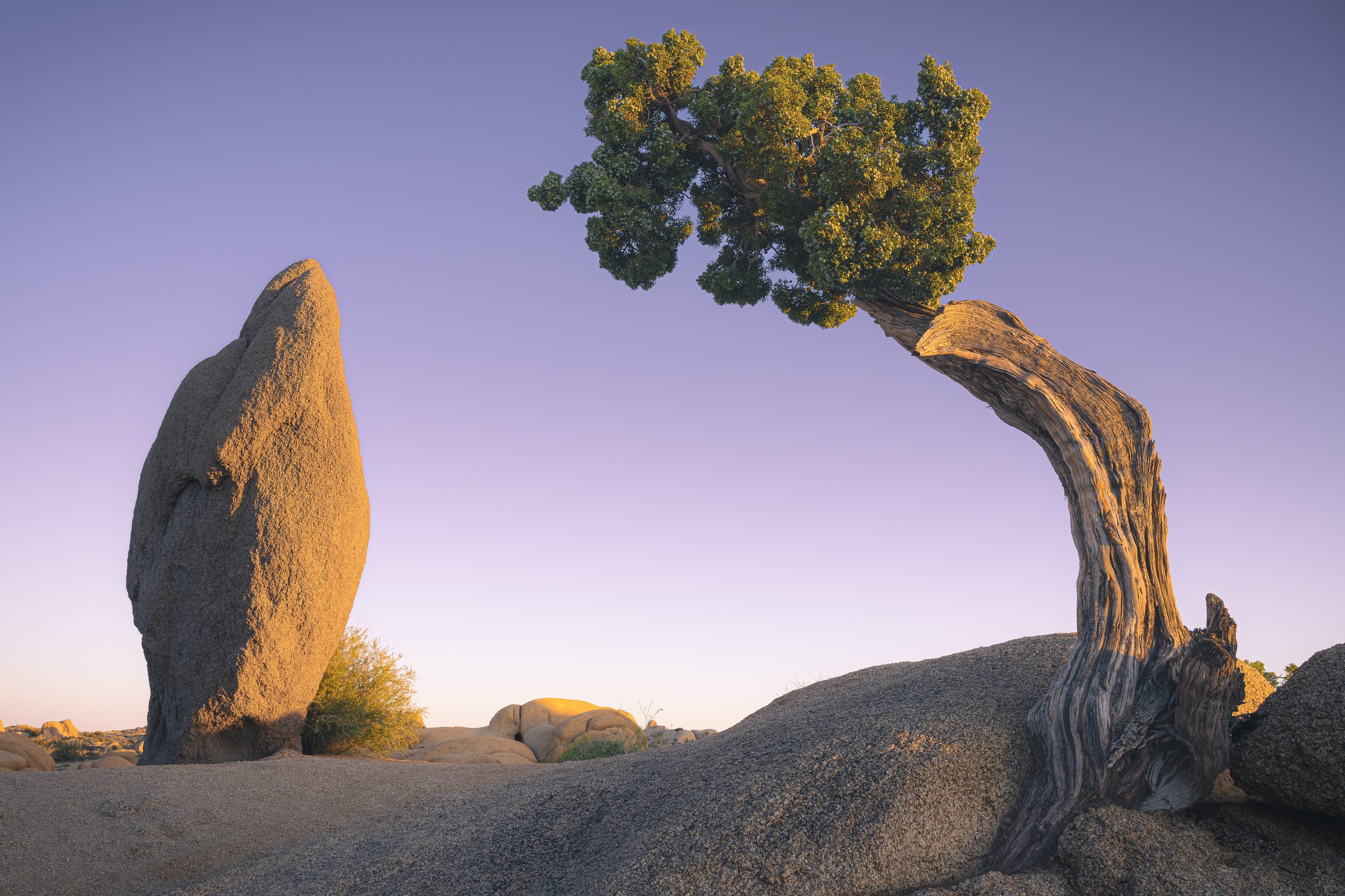 MICHAEL PITTS Photography