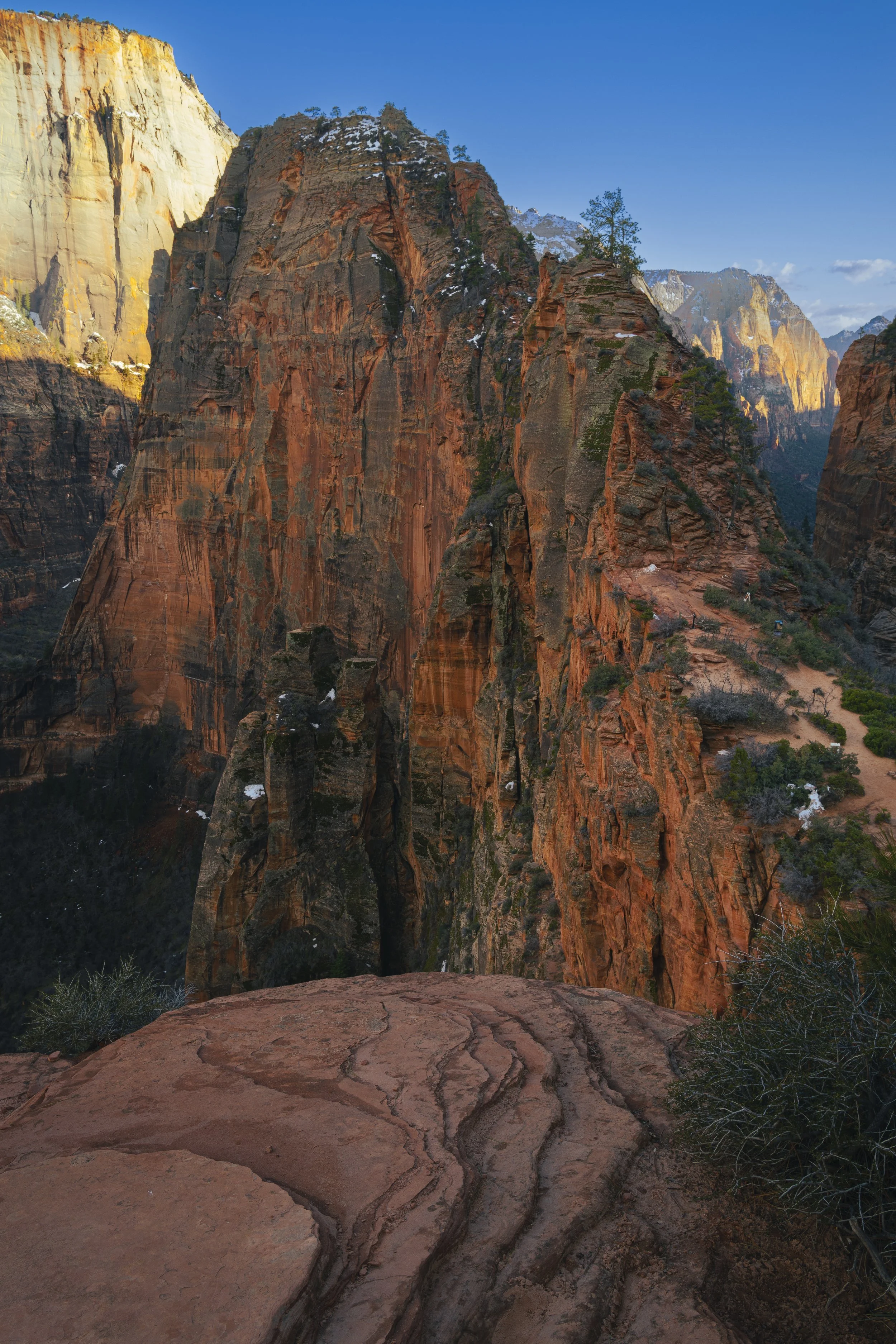 ZION — MICHAEL PITTS Photography