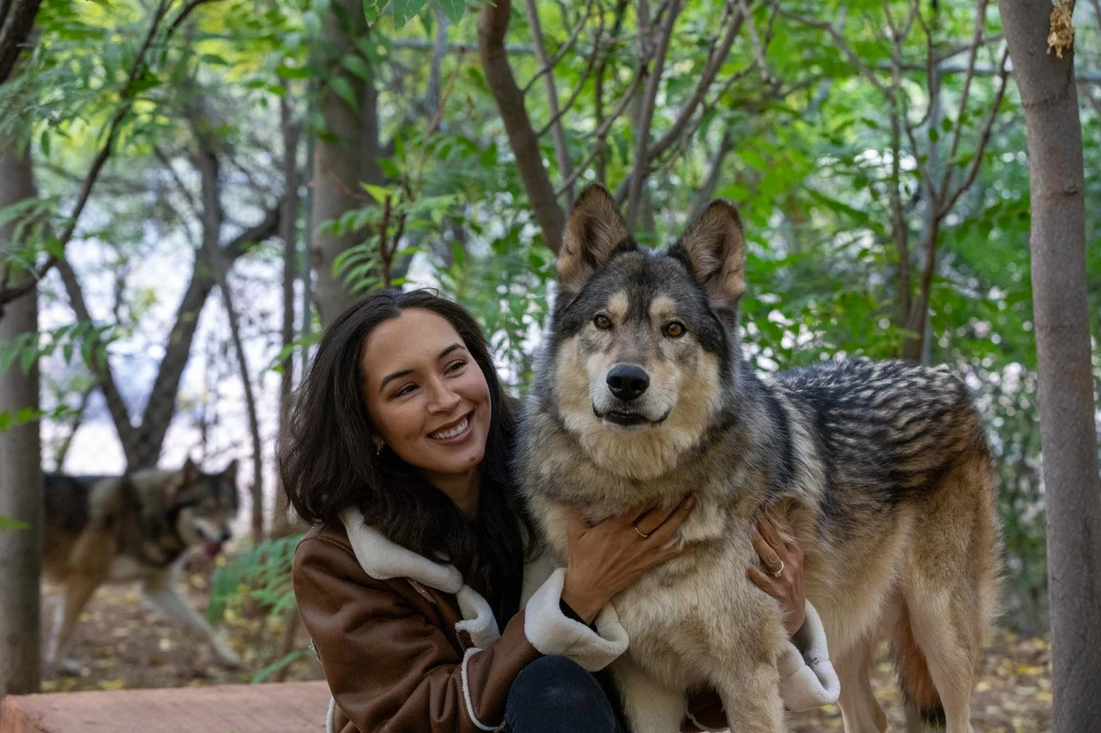 Book a Wolf Visit — Sedona Wolf Sanctuary