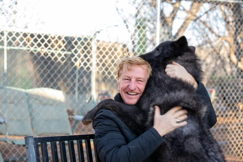 Book a Wolf Visit — Sedona Wolf Sanctuary