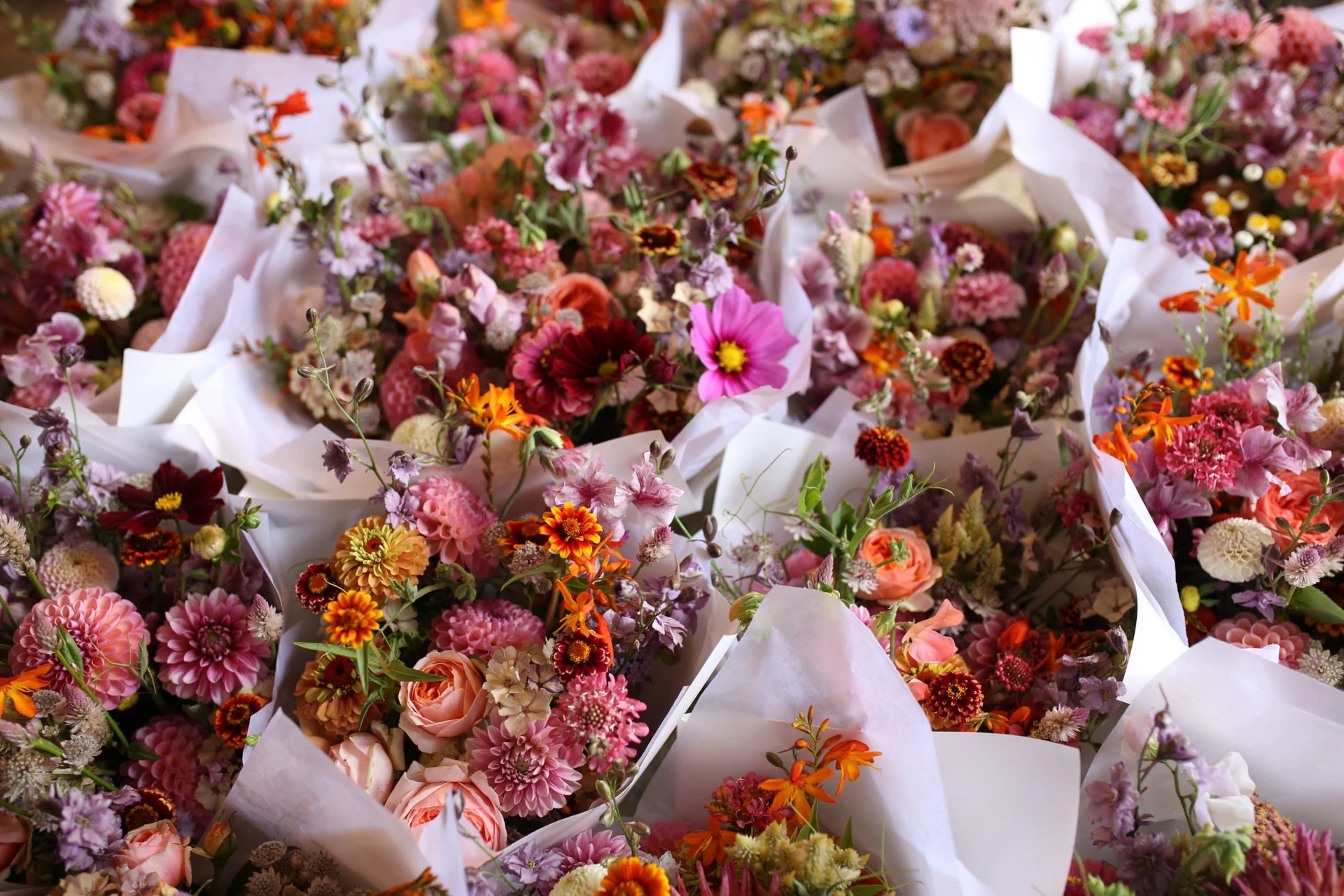 Seasonal Flower Subscription Field Of Roses