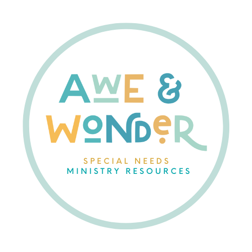What We Do — Awe & Wonder | Special Needs Ministry Resources