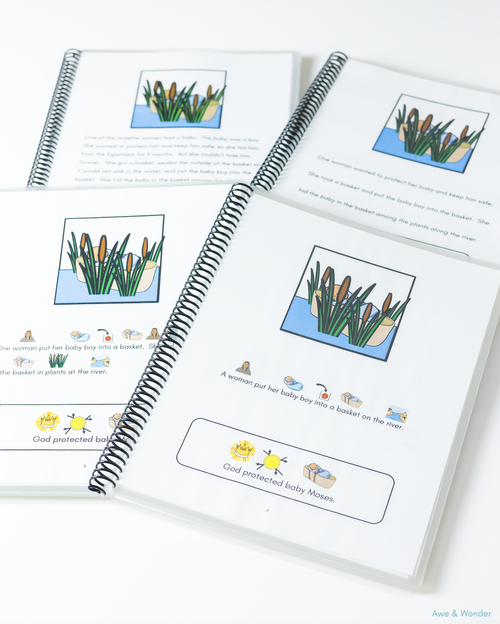 Special Needs Ministry Curriculum — Awe & Wonder | Special Needs ...