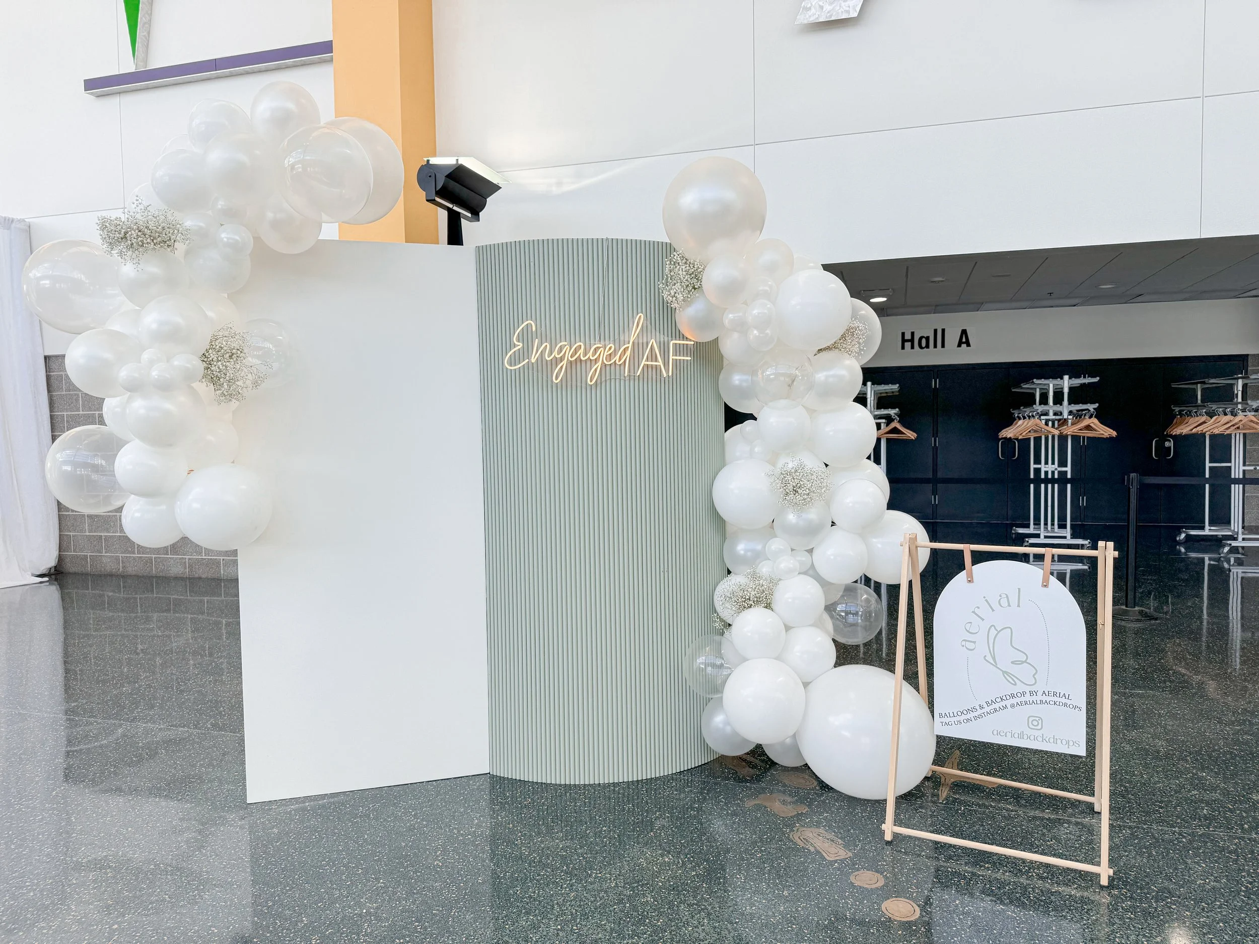 Backdrops & Arches — Aerial Balloons & Backdrops