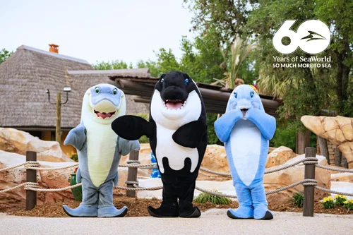 SeaWorld Summer Has Begun | Amusement Source Media