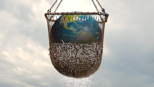 Greenbaum Foundation