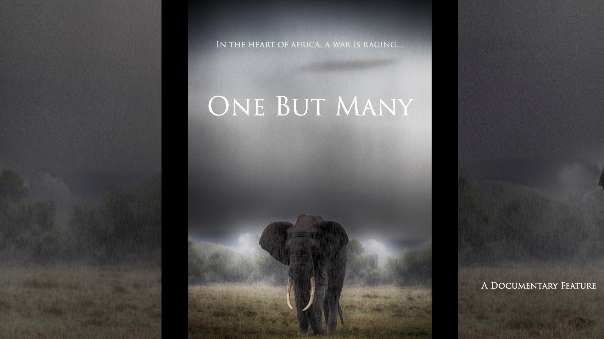 Media — Greenbaum Foundation