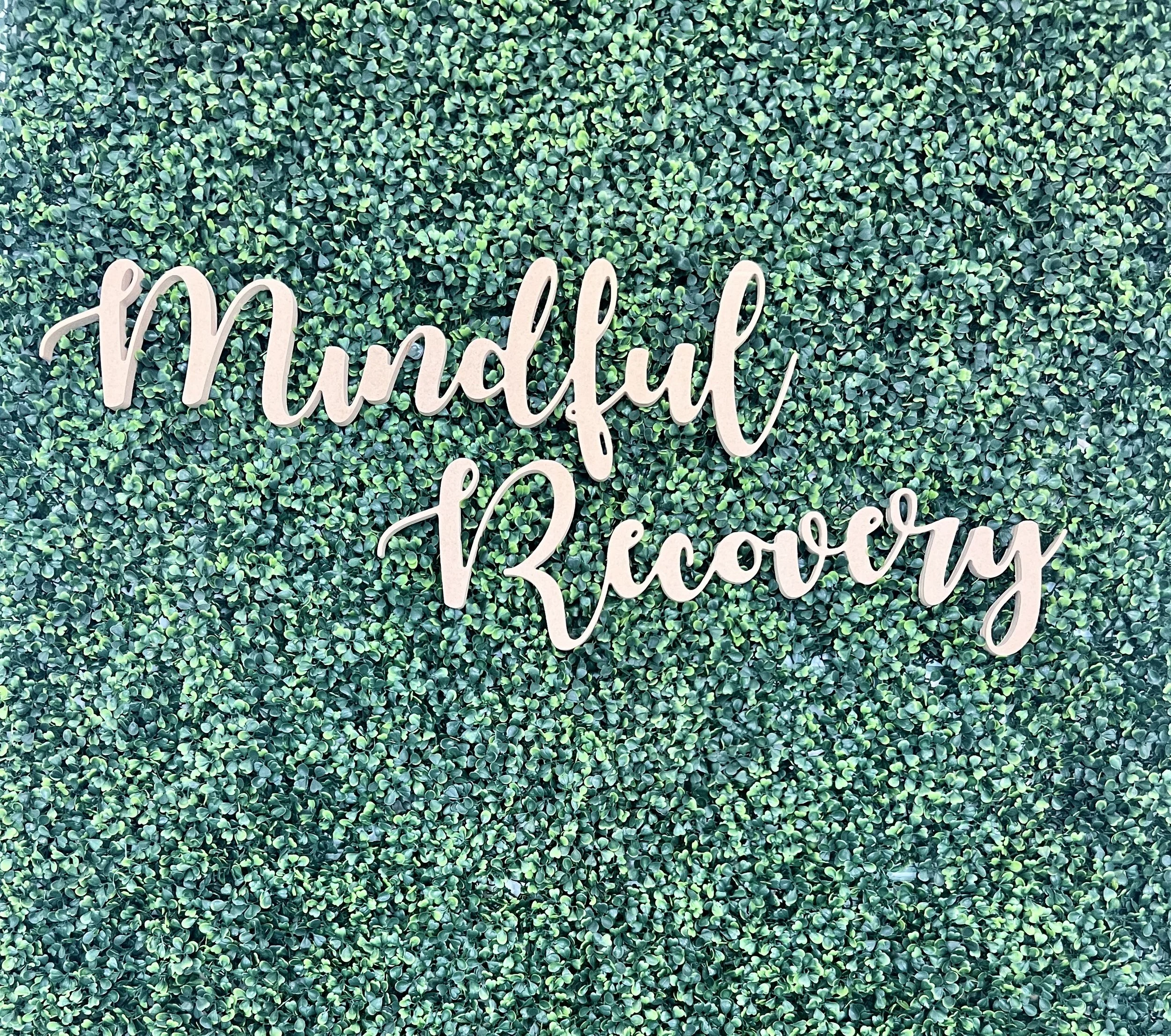 Mindful Recovery and Wellness
