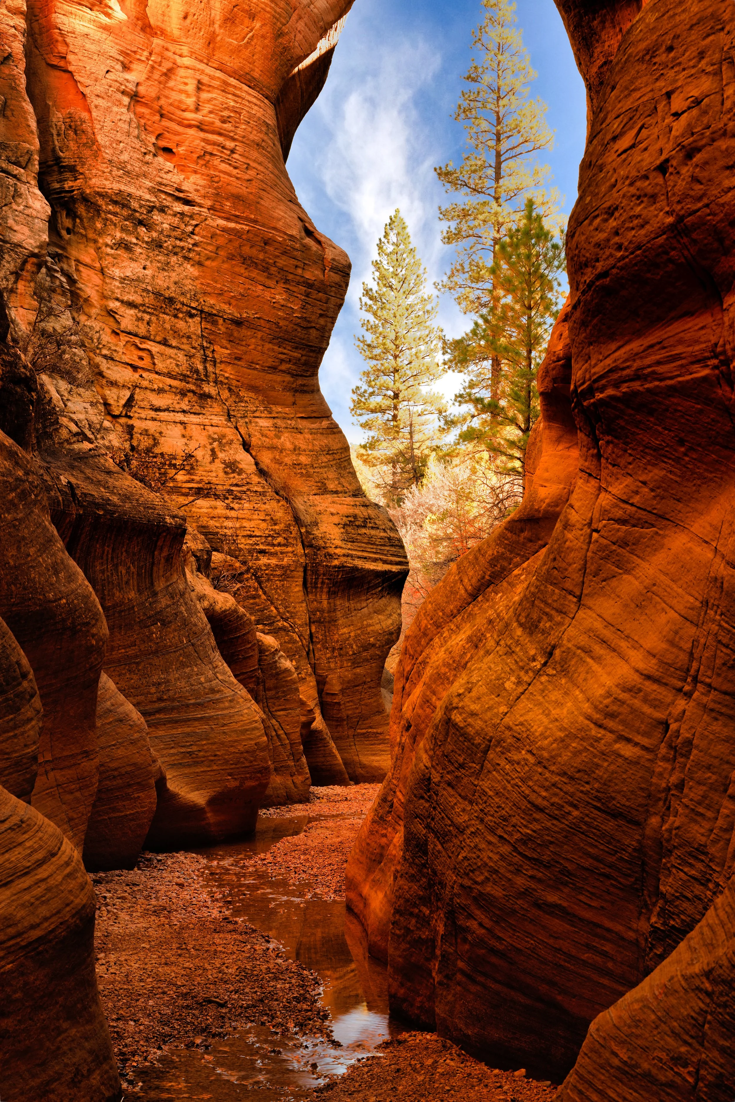 Christopher Stadler Photography