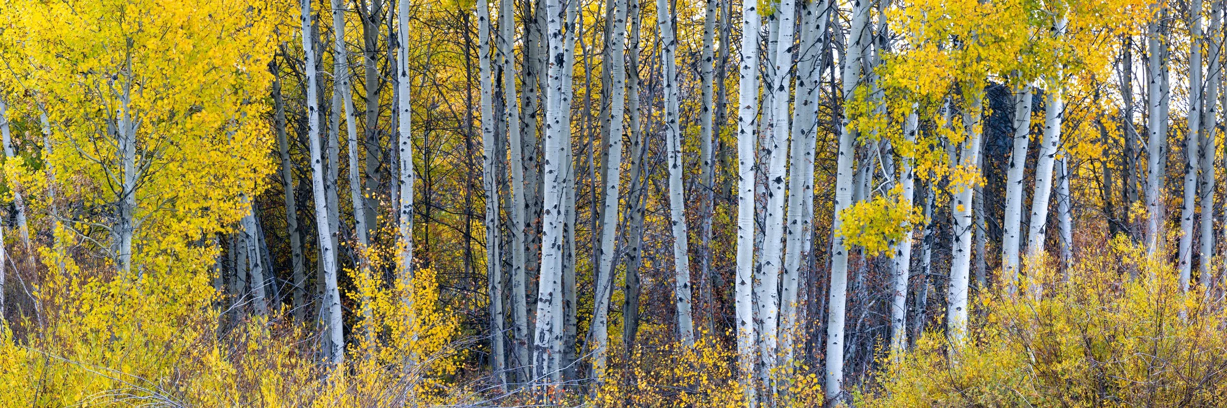 Gallery — Dave Burdick Fine Art Landscape Photography