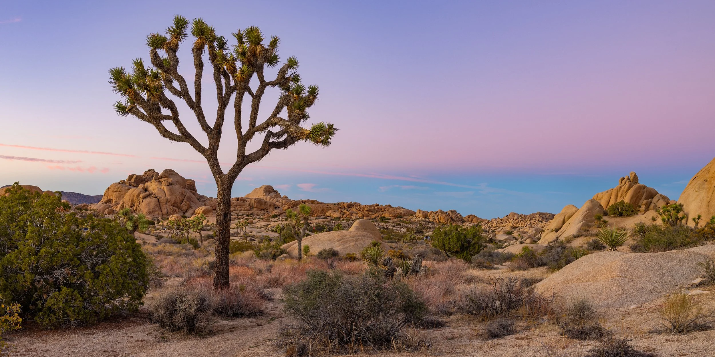 Gallery — Dave Burdick Fine Art Landscape Photography