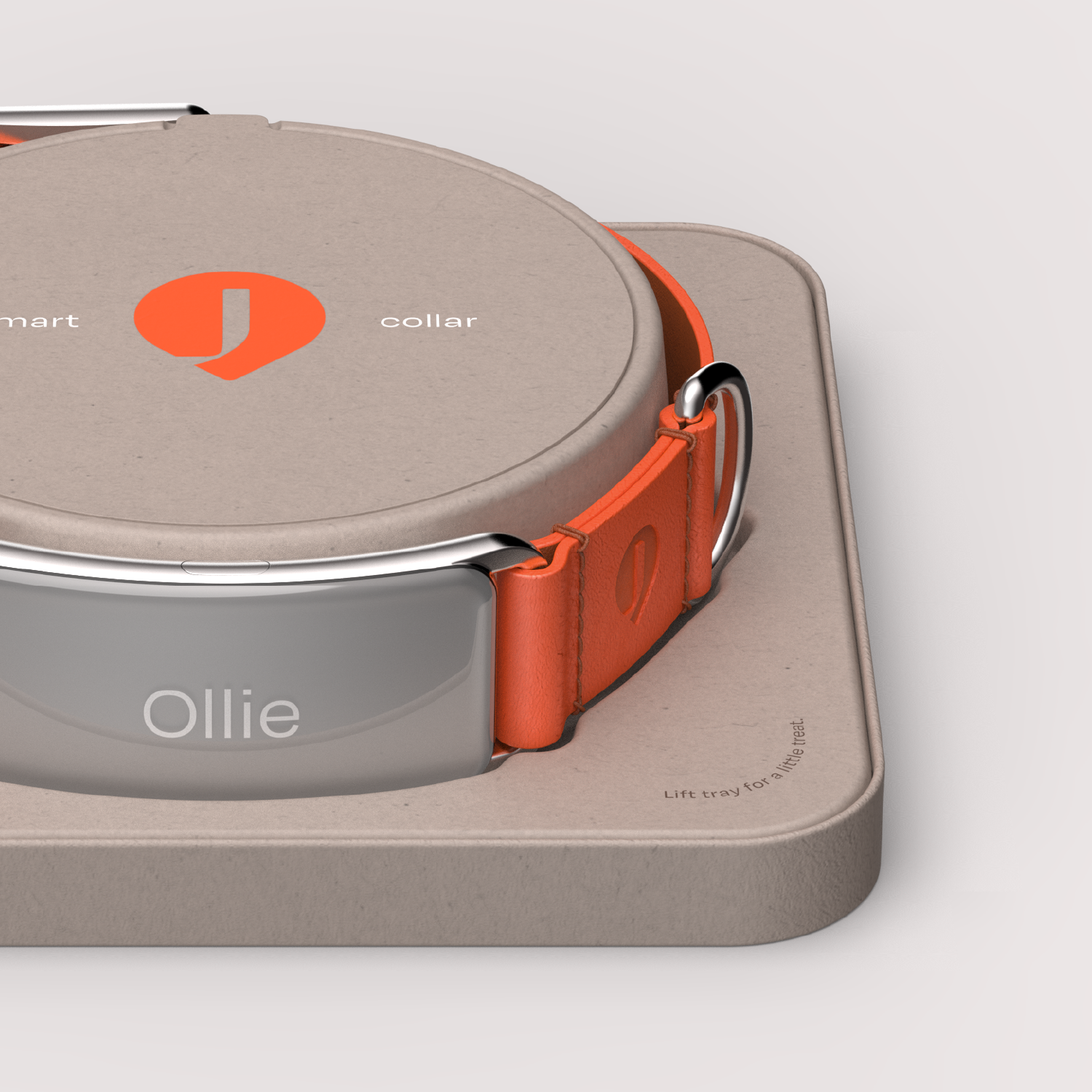 Juno Smart Collar — SO Dsgn