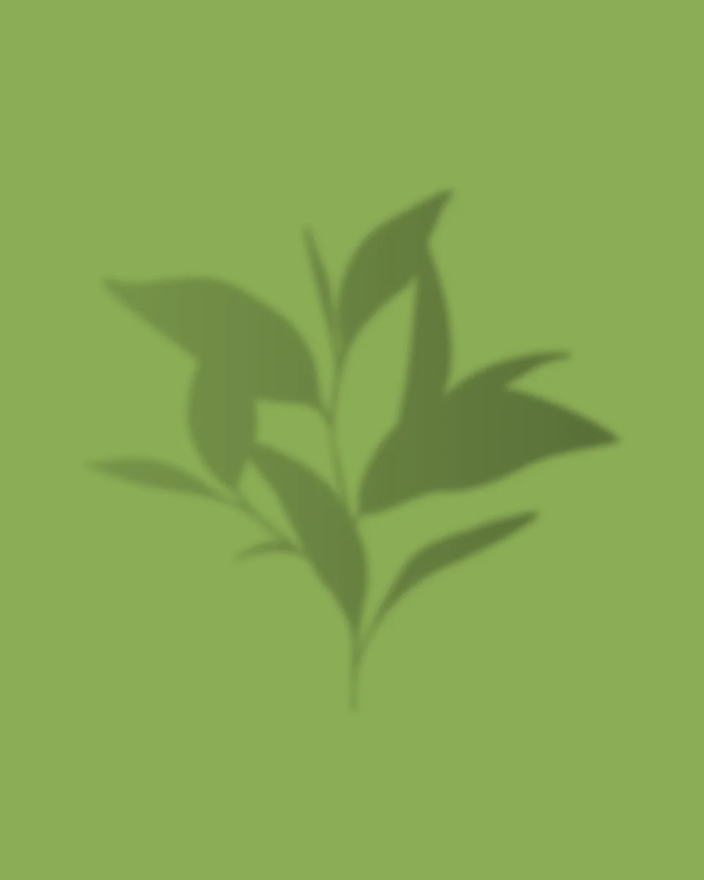 Shade Matcha — SO Dsgn