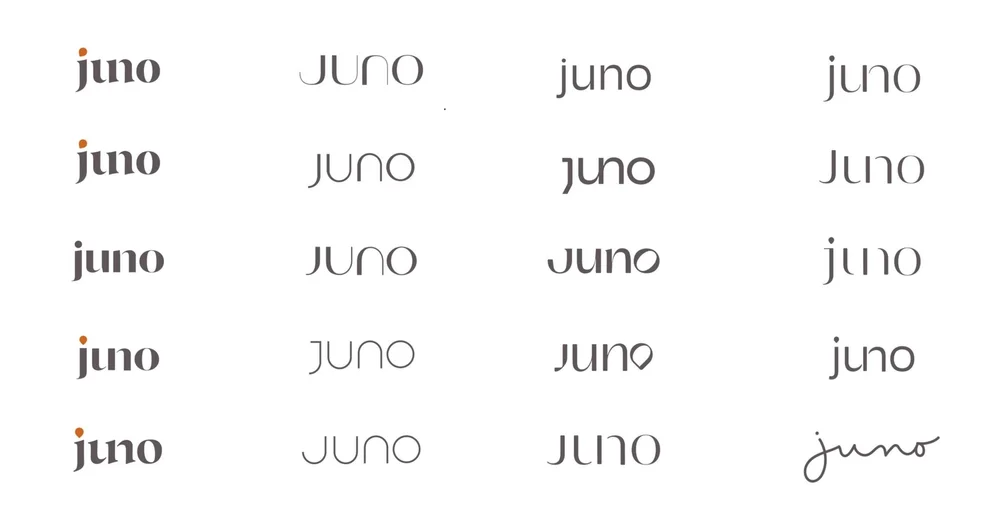 Juno Smart Collar — SO Dsgn