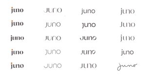 Juno Smart Collar — SO Dsgn