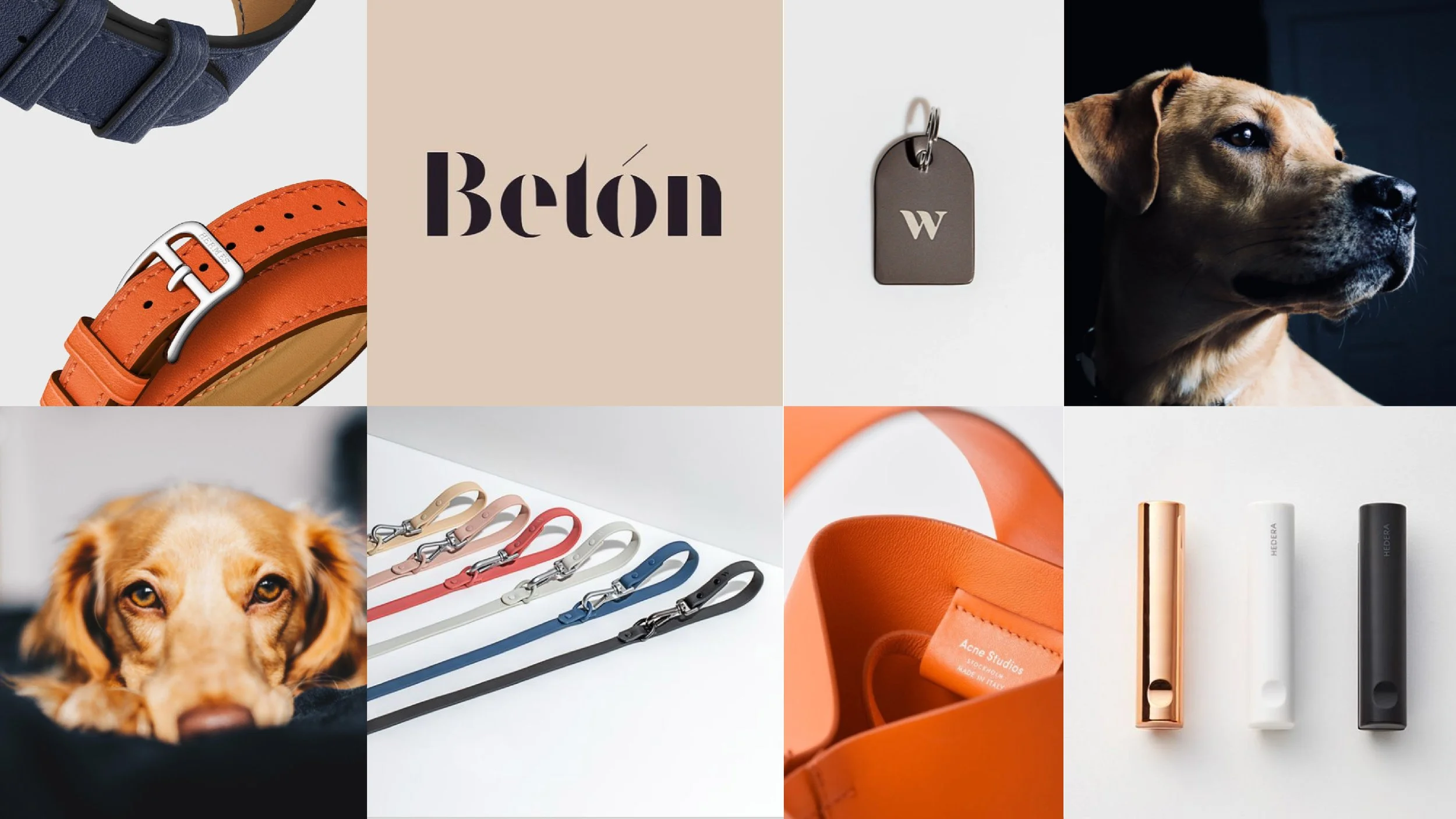 Juno Smart Collar — SO Dsgn