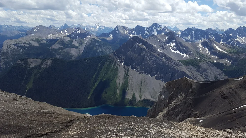 Peter Rundle | Arbitrator | Peter Rundle ~ Well-Known Arbitrator