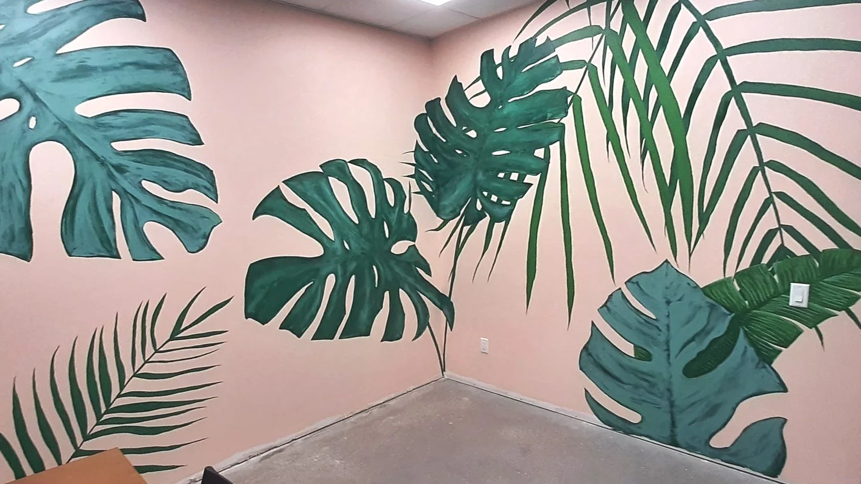 Nelson Stadium Mural — Sacha Taylor Murals