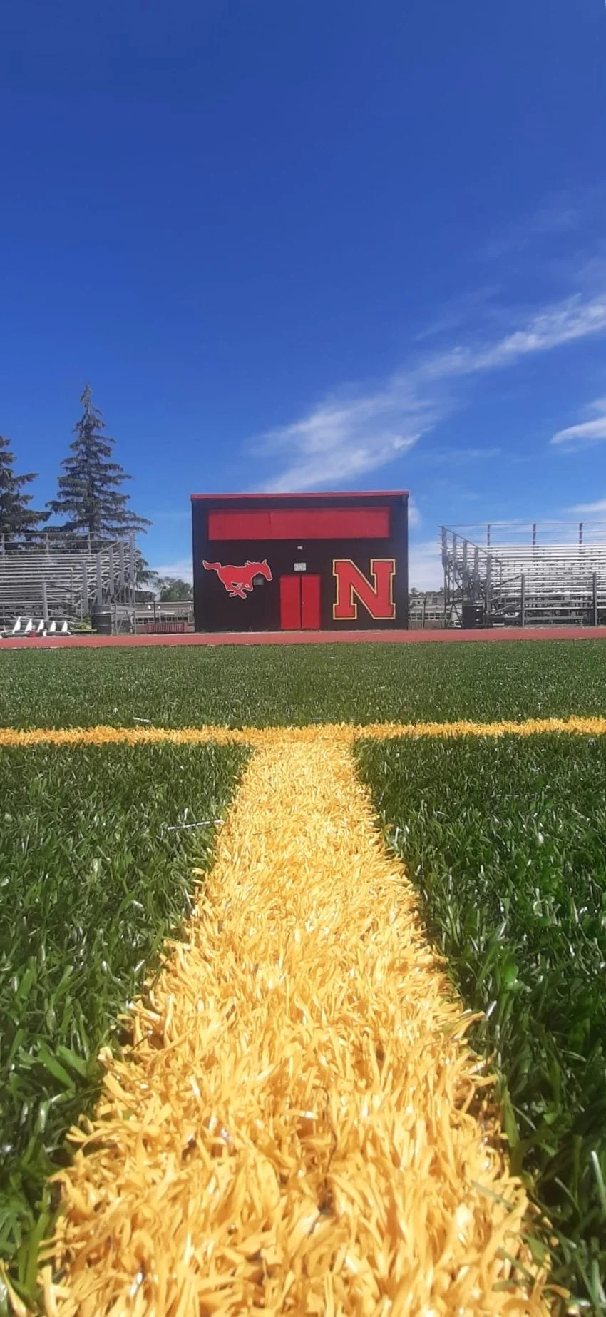 Nelson Stadium Mural — Sacha Taylor Murals