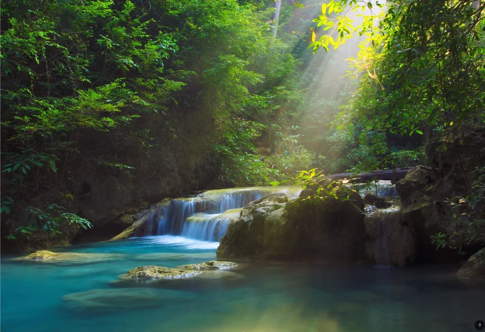 Best Nature Channel on Roku | 4K Relaxing Nature Films — NatureStream.tv