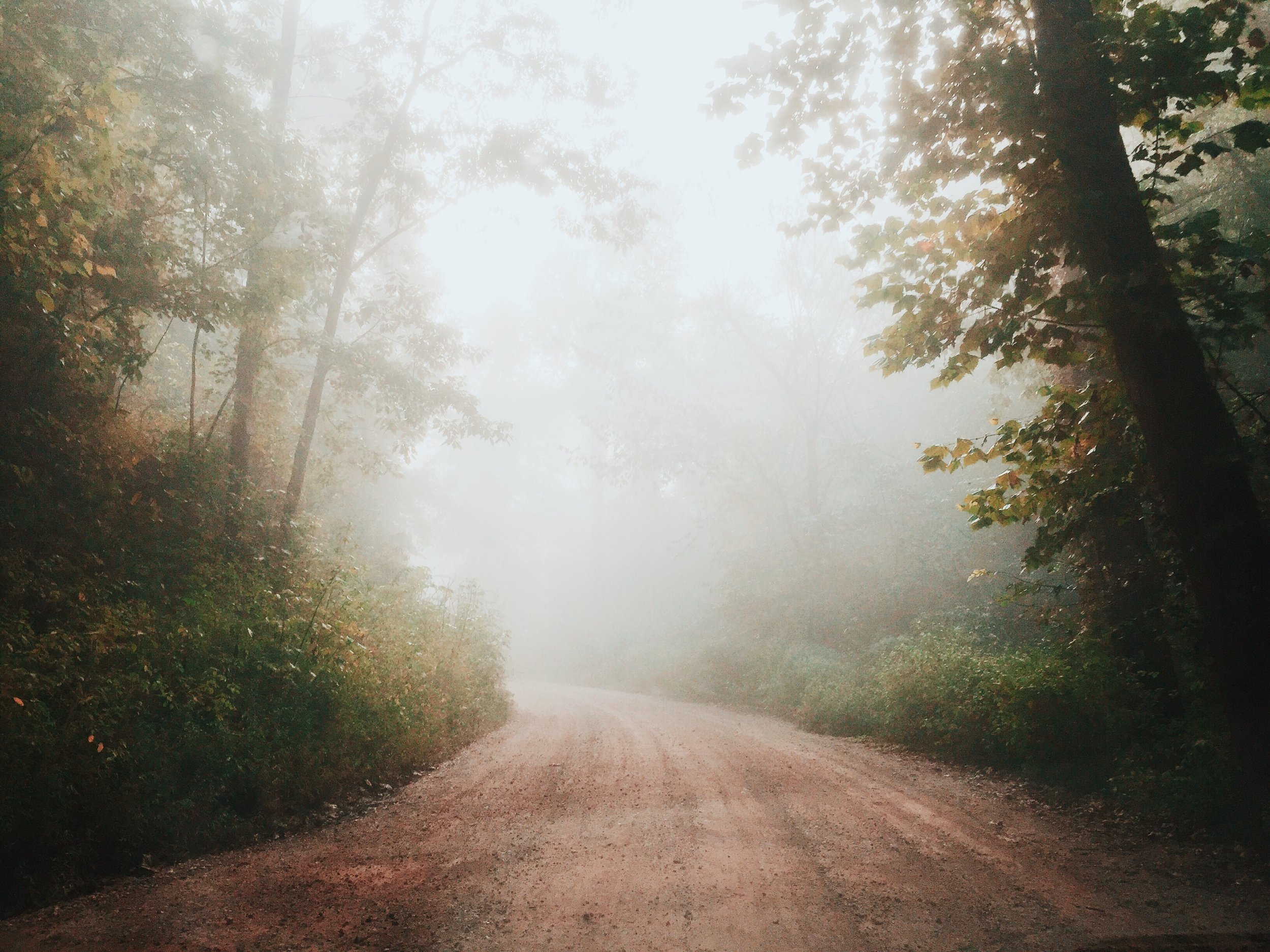 Blog — The Haven Project Collective
