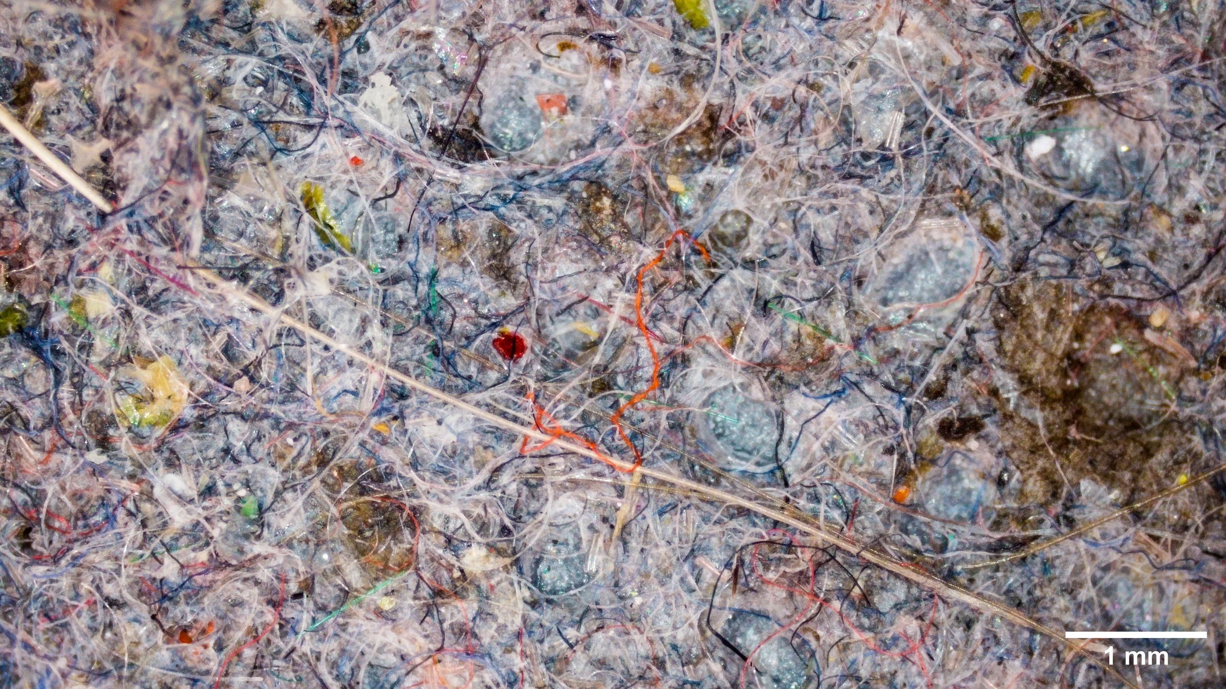 The Microplastic Problem | CLEANR | Your Best Investment in a ...