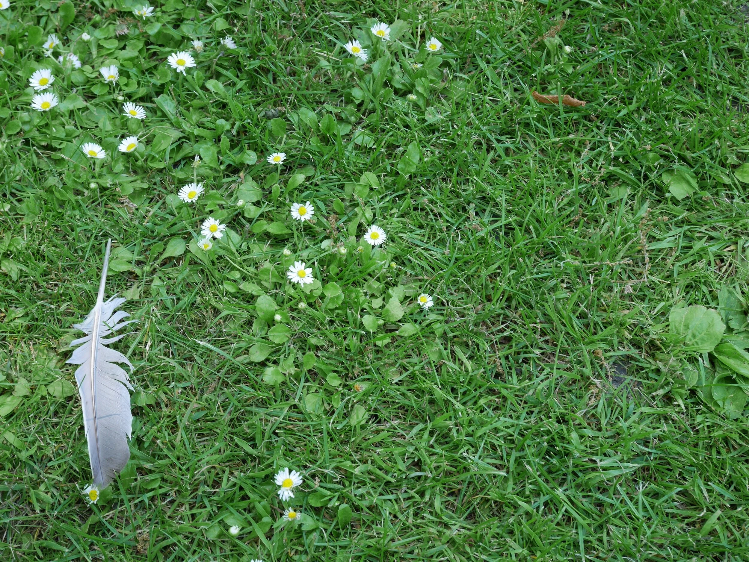 3 Days in Copenhagen in June — Her Travel Style