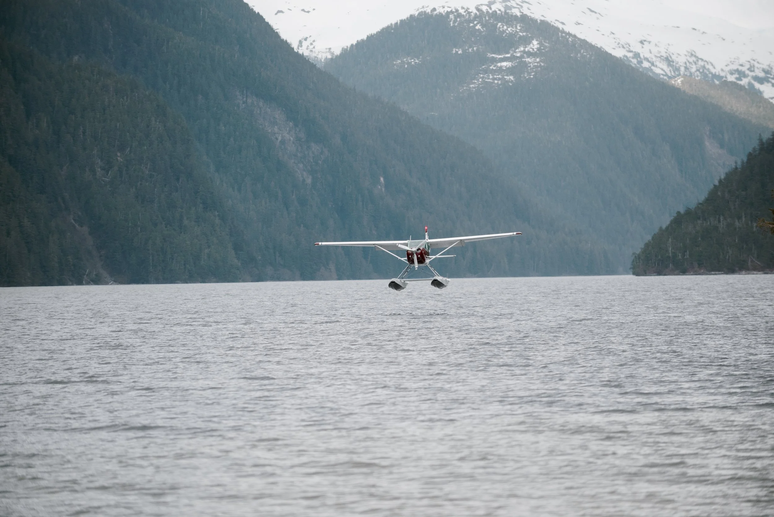 Reviews — Sitka Floatplane Tours & Air Taxi | Harbor Air Services