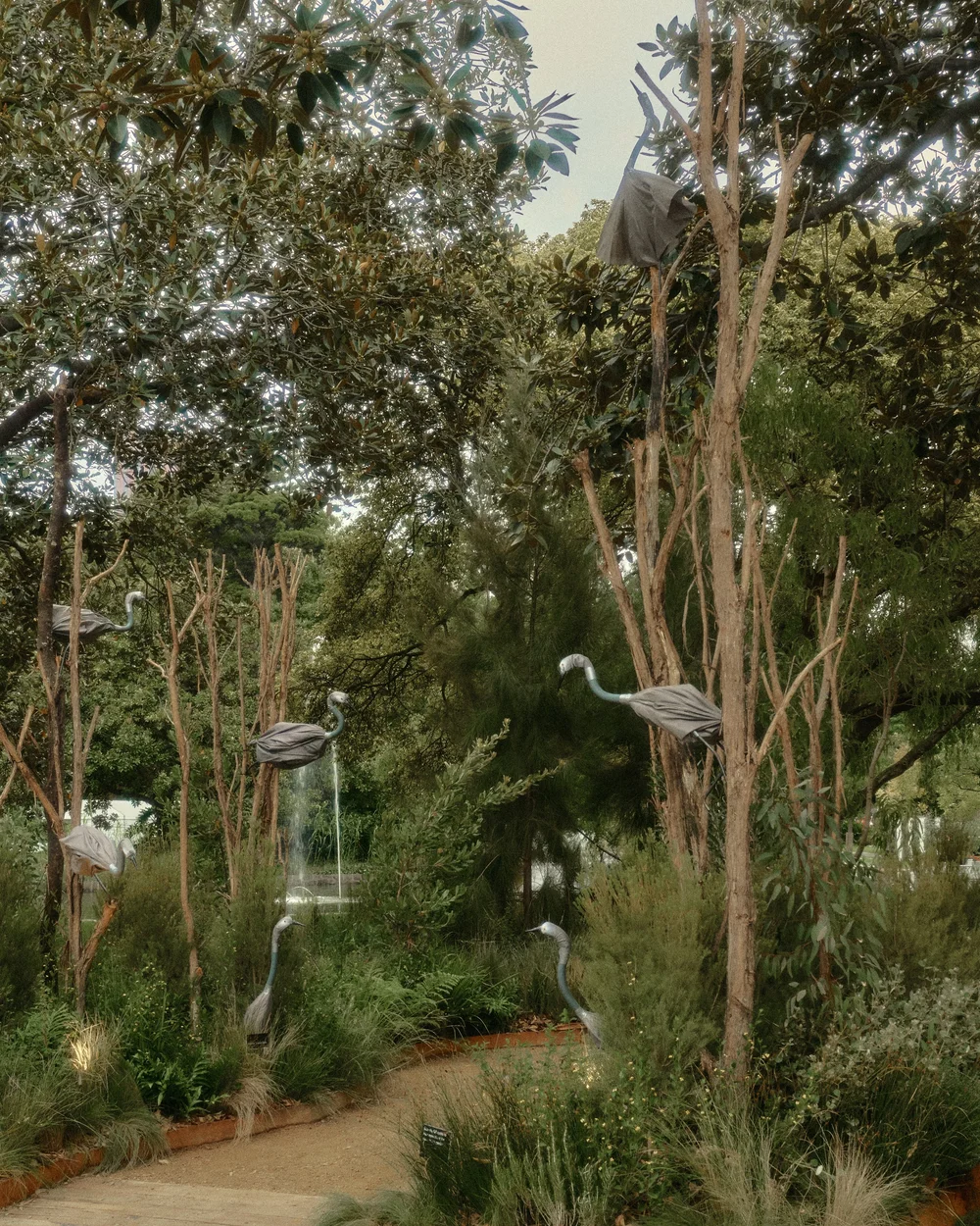 Wurundjeri Biik Baan | Melbourne International Flower & Garden Show ...