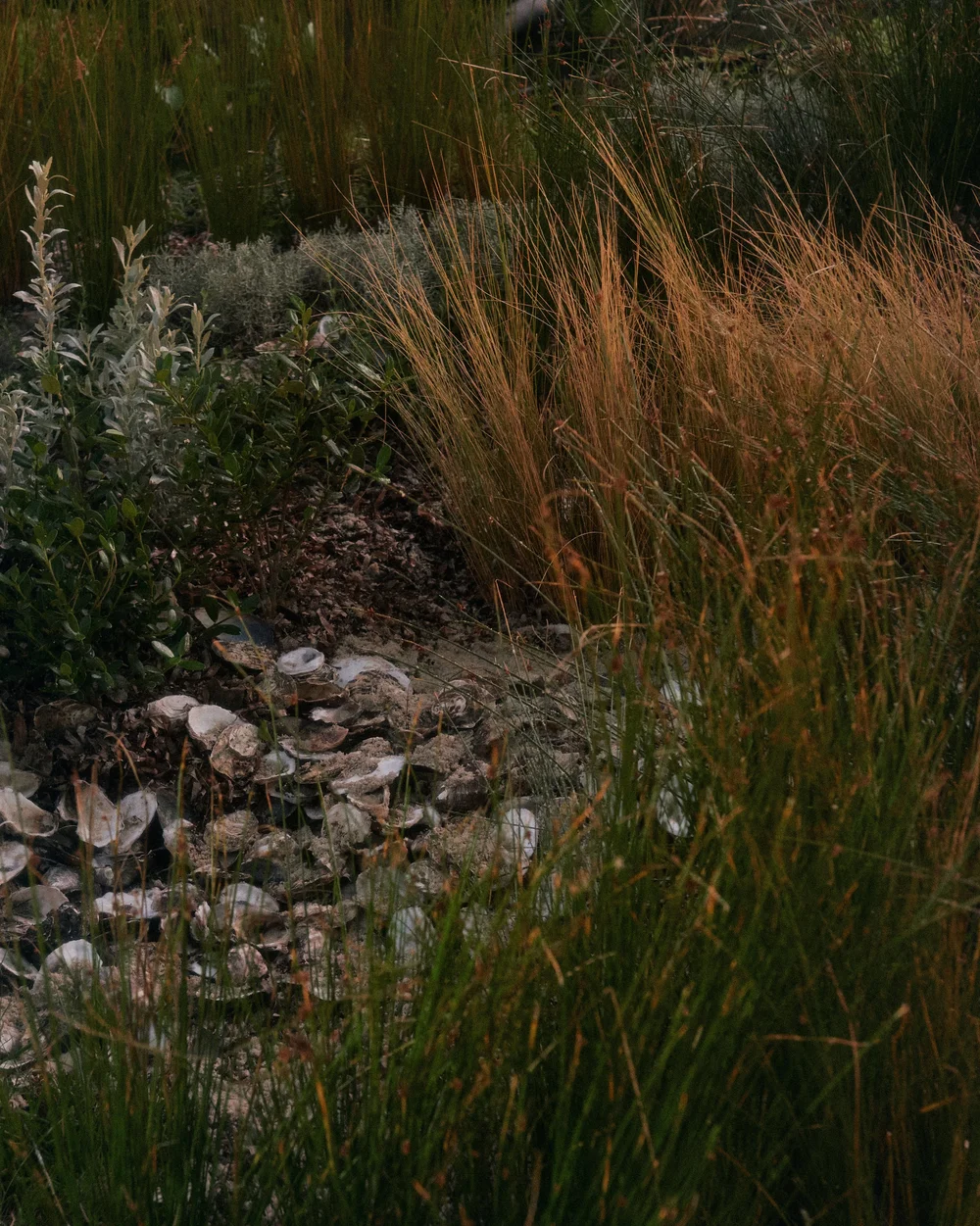 Wurundjeri Biik Baan | Melbourne International Flower & Garden Show ...