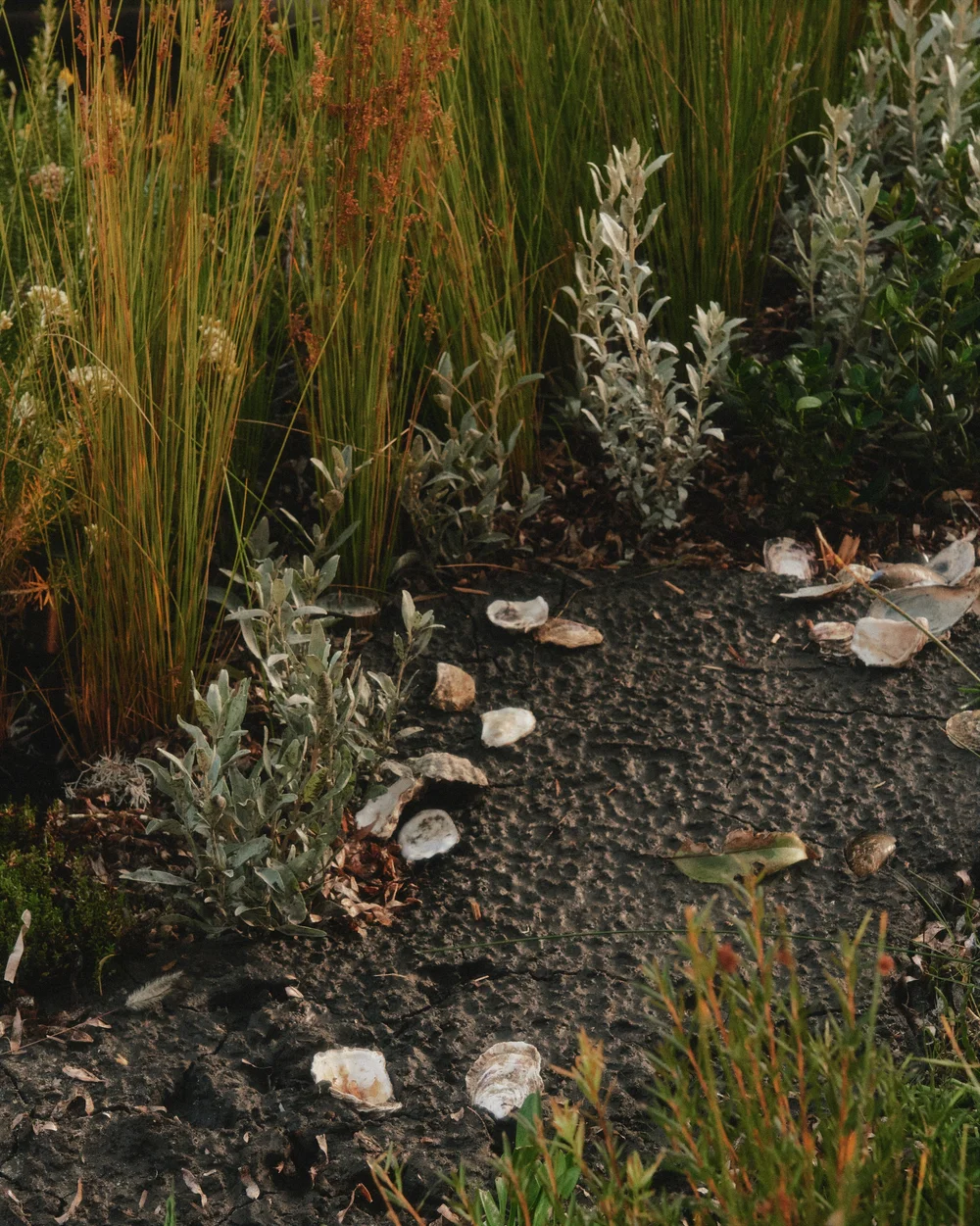 Wurundjeri Biik Baan | Melbourne International Flower & Garden Show ...