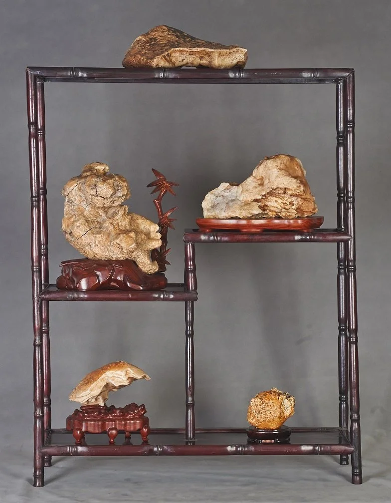 Gallery — 新加坡盆景与赏石协会 Singapore Penjing & Stone Appreciation Society