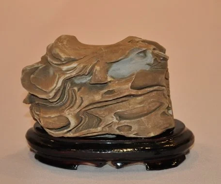 Gallery — 新加坡盆景与赏石协会 Singapore Penjing & Stone Appreciation Society