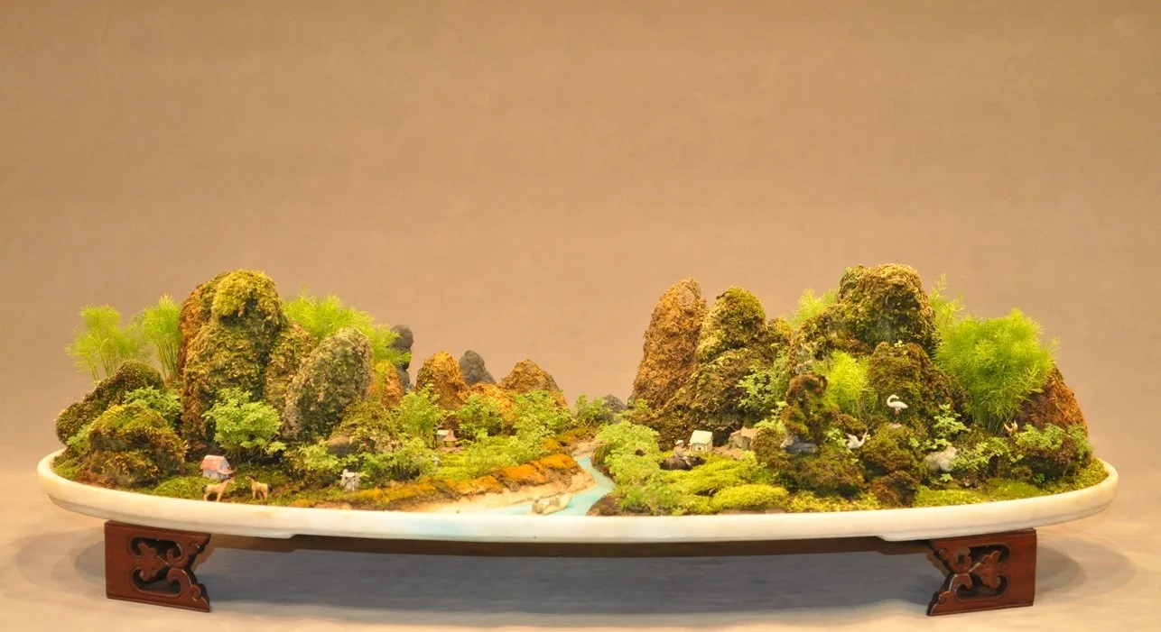 Gallery — 新加坡盆景与赏石协会 Singapore Penjing & Stone Appreciation Society