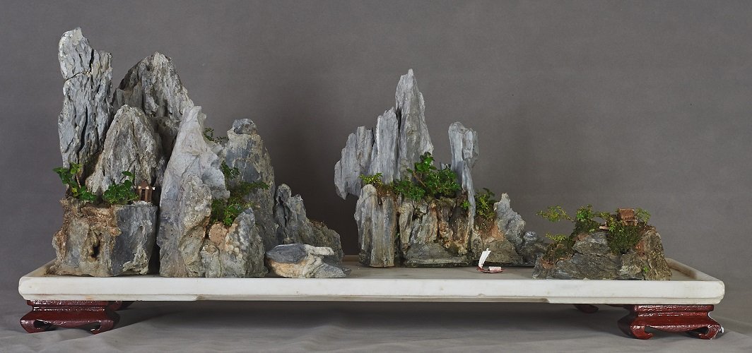 Gallery — 新加坡盆景与赏石协会 Singapore Penjing & Stone Appreciation Society