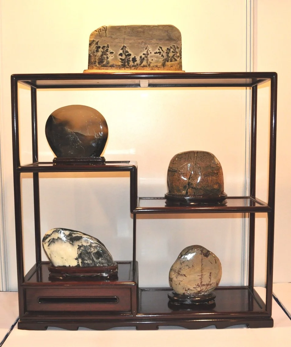 Gallery — 新加坡盆景与赏石协会 Singapore Penjing & Stone Appreciation Society