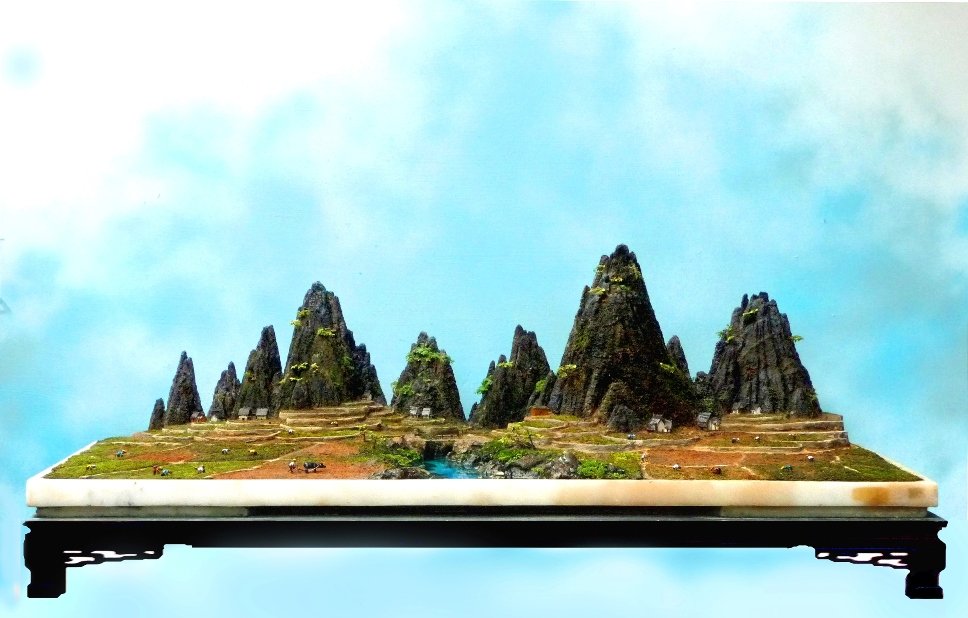 Gallery — 新加坡盆景与赏石协会 Singapore Penjing & Stone Appreciation Society