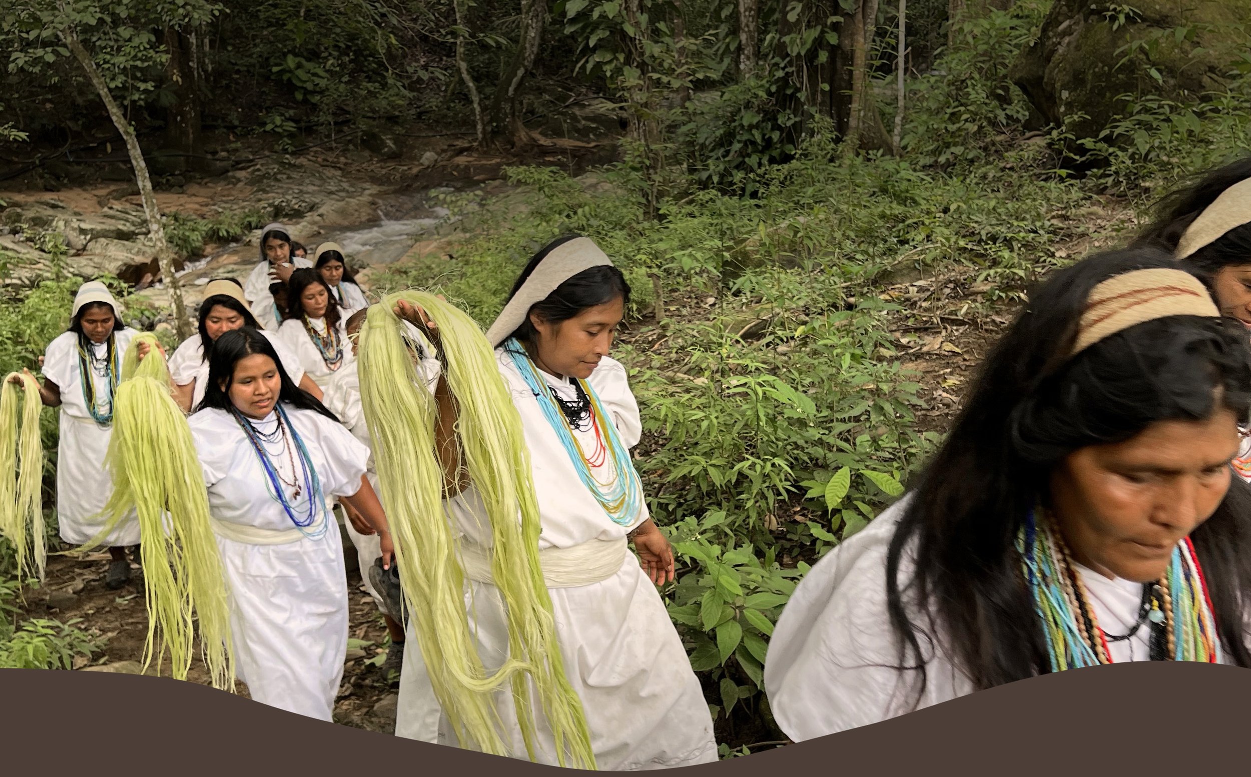 ABOUT US — Ofrenda A'bunna: Indigenous-led conservation in Colombia