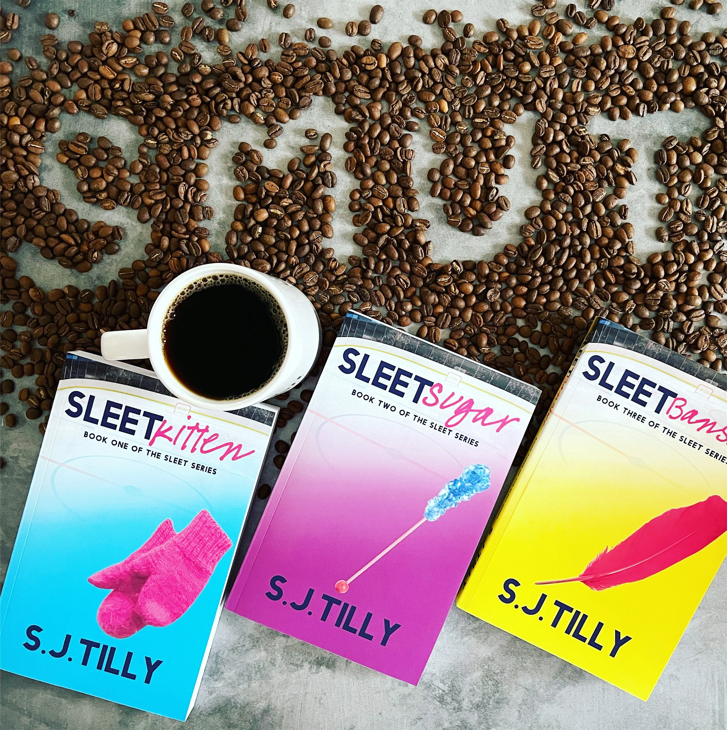 Sleet Series — S.J. Tilly