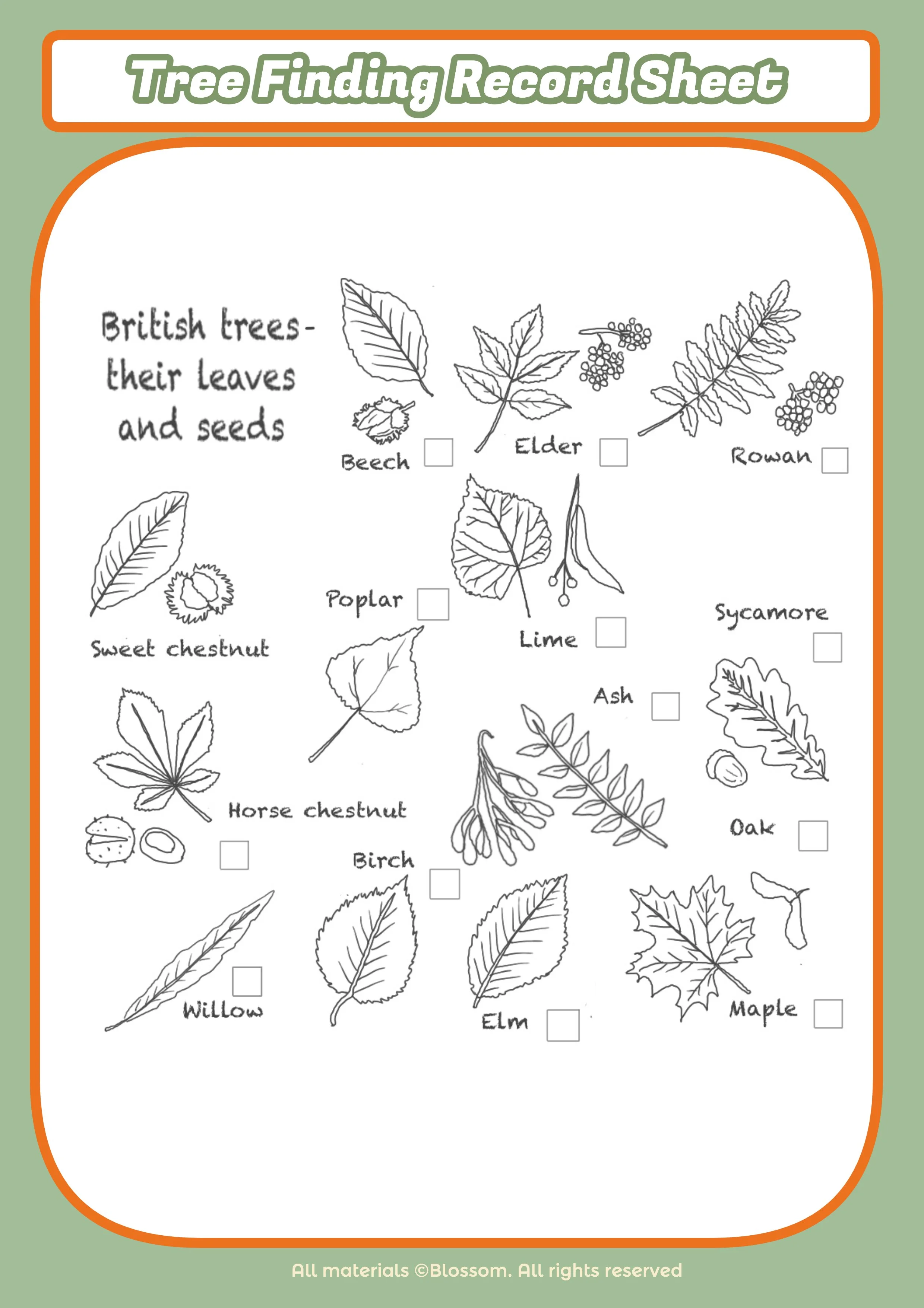 TMT Let's go and Identify Some Trees — Blossom