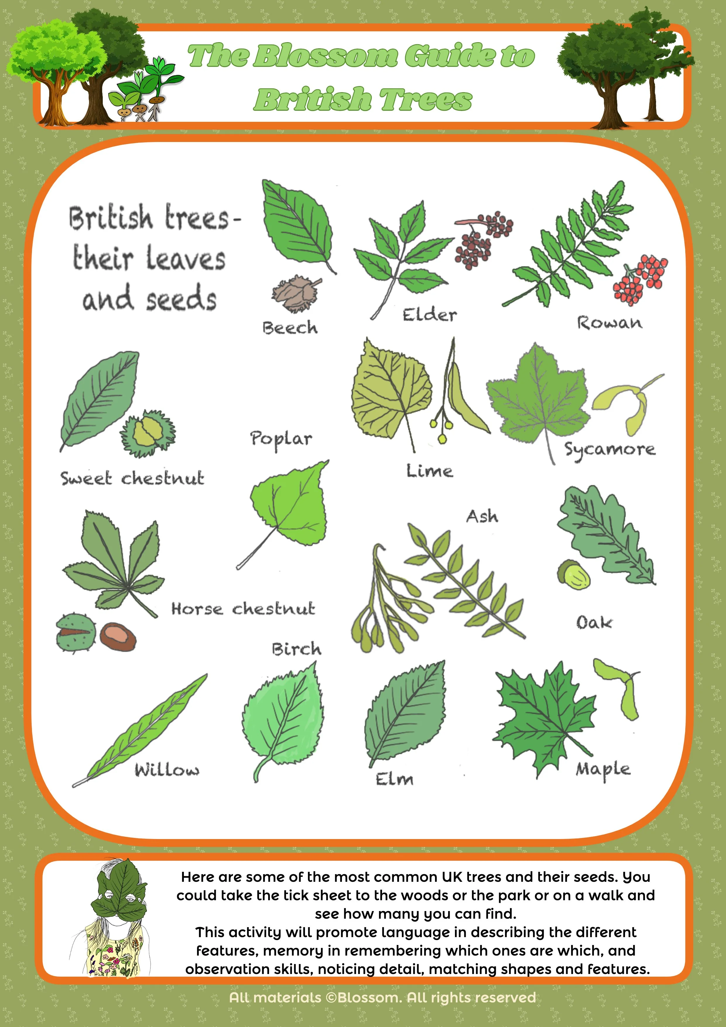 TMT Let's go and Identify Some Trees — Blossom