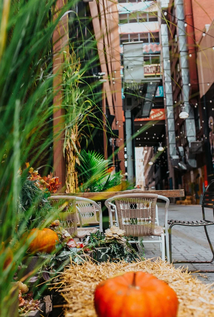 About — The Skip Detroit