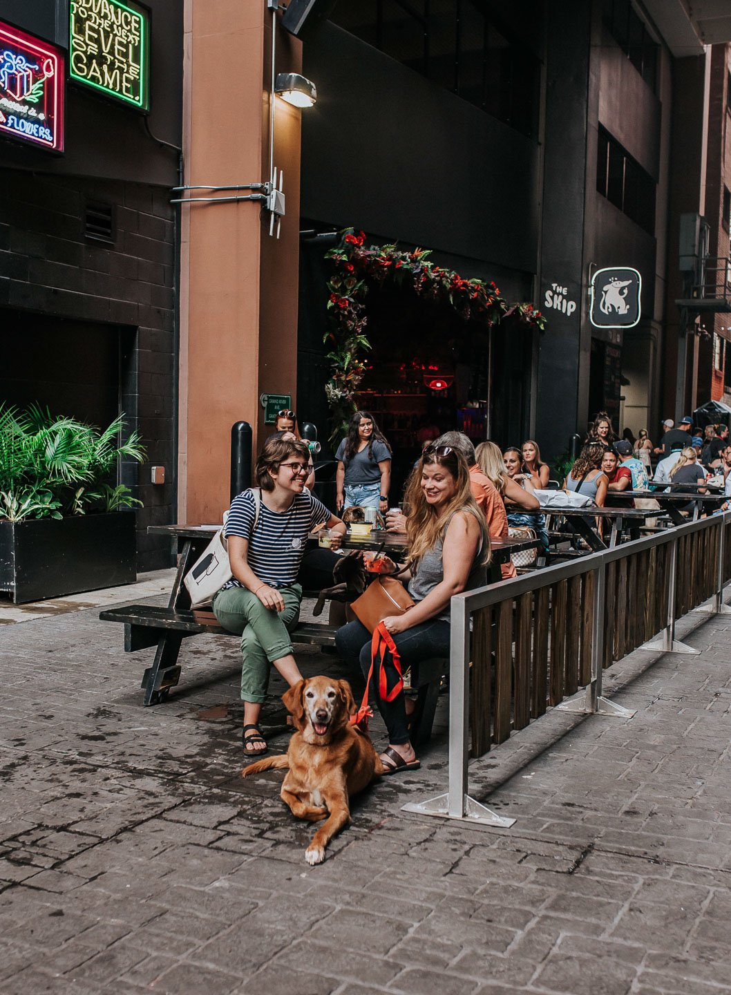 About — The Skip Detroit