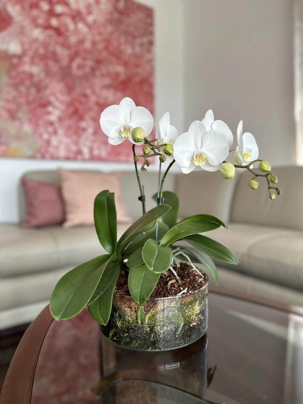 Kate Kerin Interiors