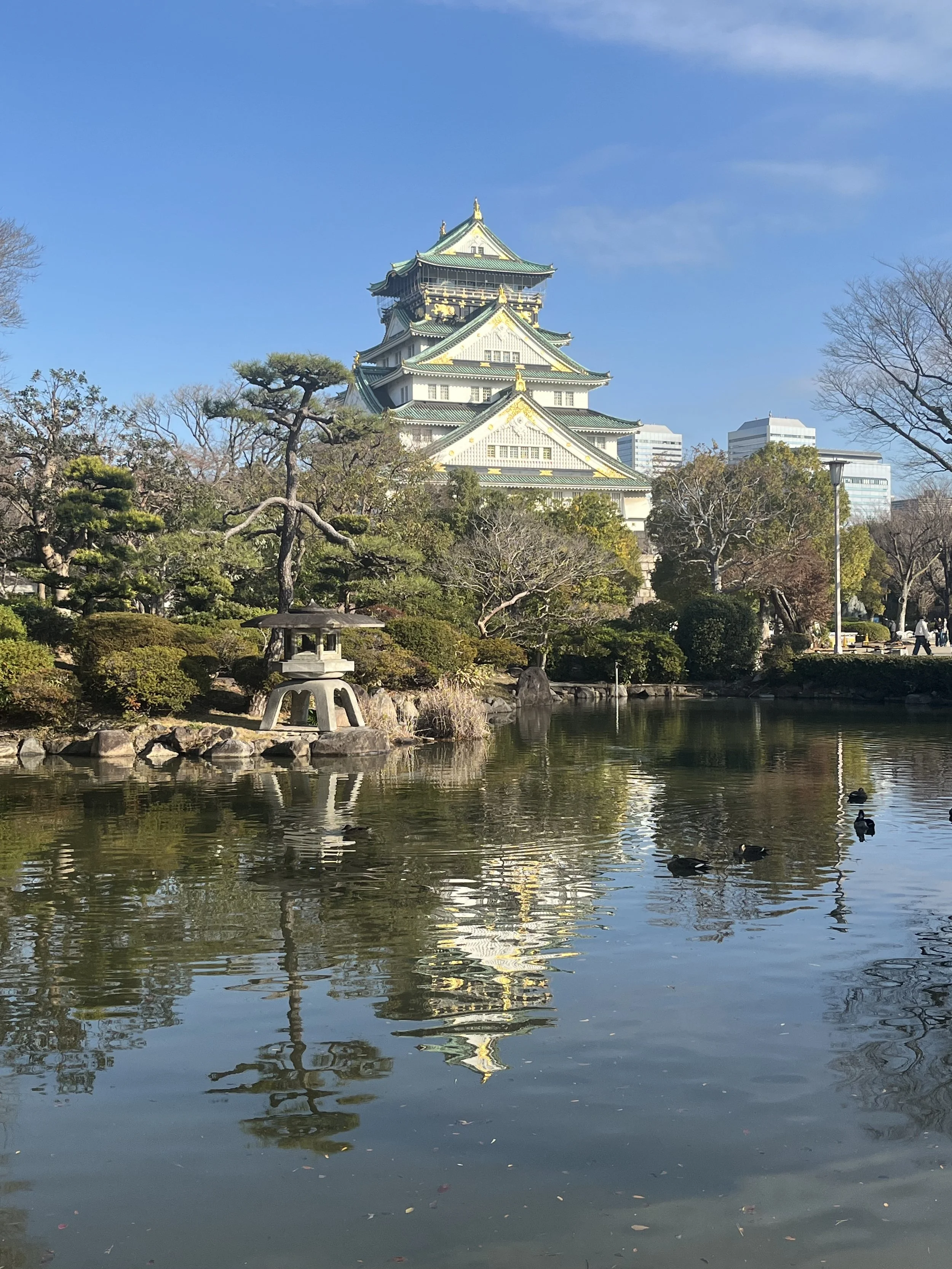 Tokyo to Osaka: A One-Night Getaway- Japanese home cooking class in ...