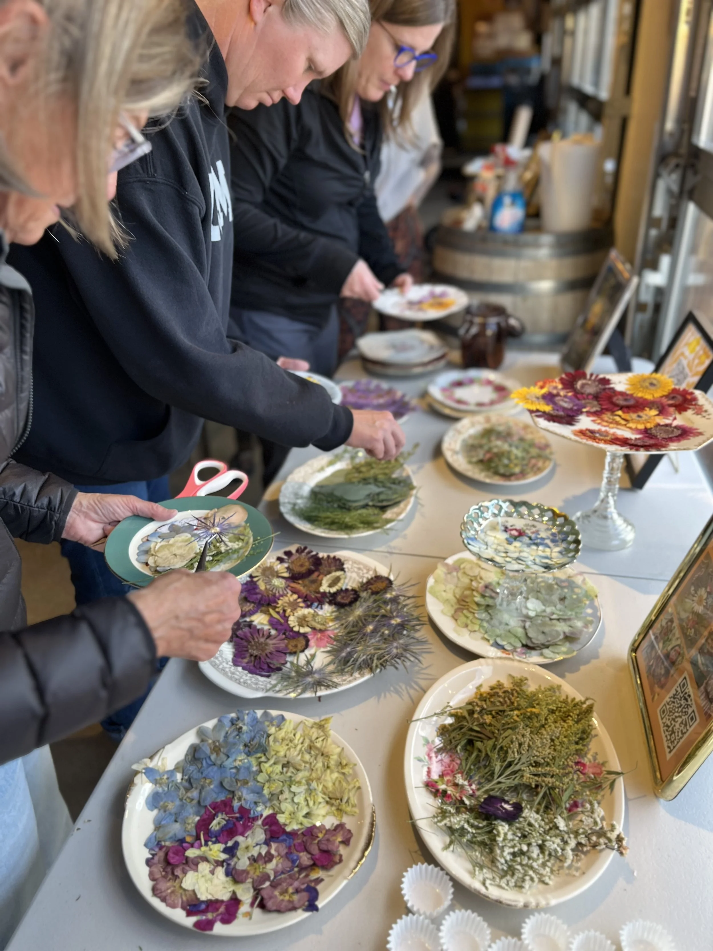 Shop — Lindsay Rae Art